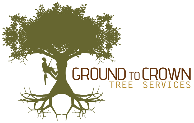 Arborist Services | Ground To Crown Tree Services