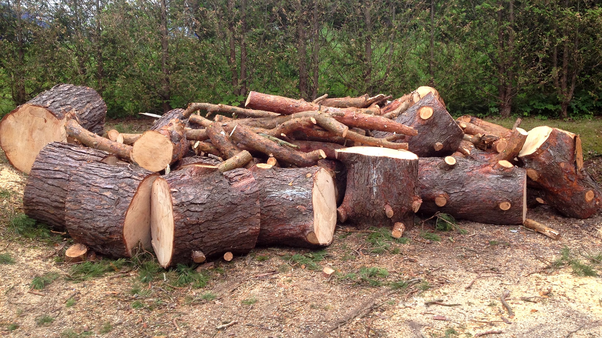 Ground To Crown Tree Services | Annapolis Valley Nova Scotia